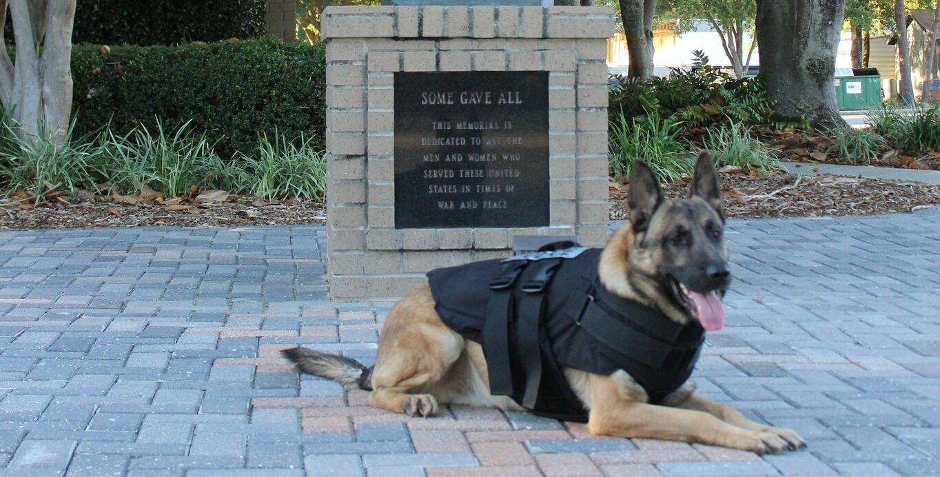 Chief Popwell Gives Crime K 9 Funeral Updates At City Council Mid