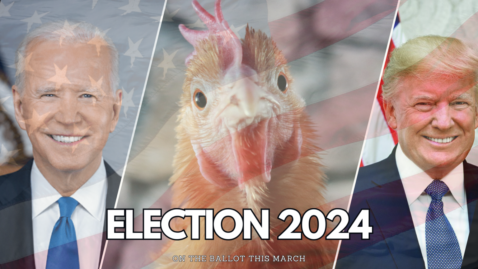 VOTE 2024: Chickens in Valparaiso, Republicans on the ballot in March ...