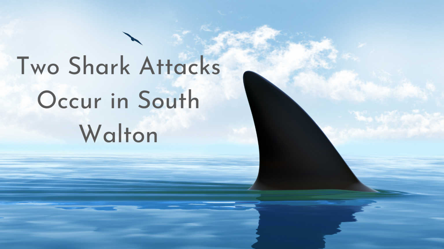 Summer in South Walton Starts With Two Shark Attacks - Mid Bay News