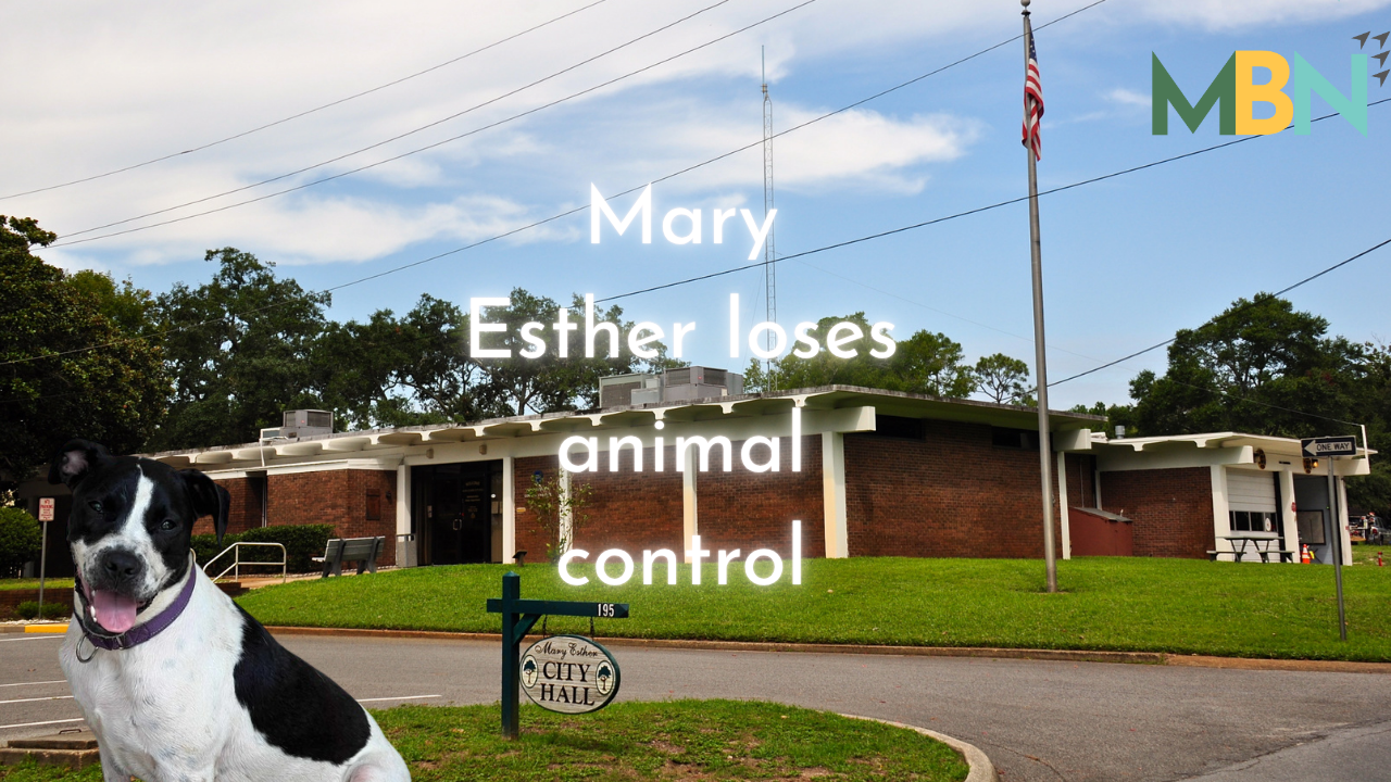 Mary Esther - Mid Bay News