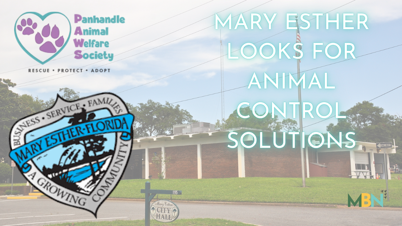 Mary Esther - Mid Bay News